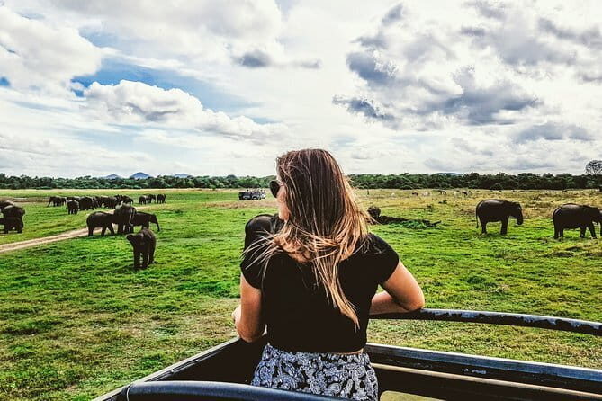 Kaudulla National Park Private Safari from Habarana - Who Will Love This Tour?