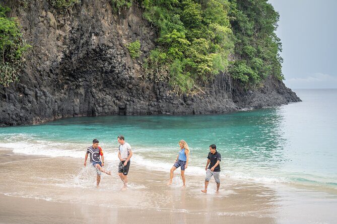Kaura: Bike to Beach & Choose Optional Tour with Private Transfer - What Travelers Say