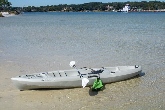 Kayak Adventure in Destin and Fort Walton Beach - Encountering Wildlife and Natural Wonders