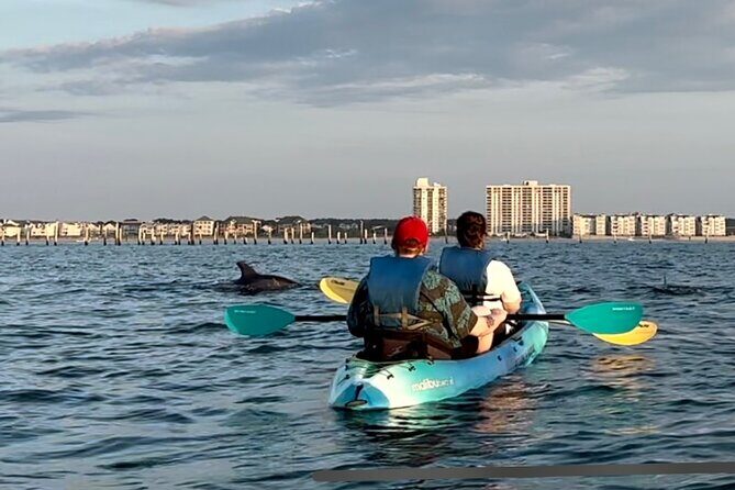 Kayak Dolphin Experience in Virginia Beach Must know how to swim - Who Should Consider This Tour?