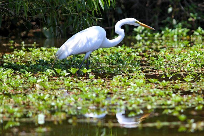 Kayak Tour of Lake James - The Itinerary in Detail
