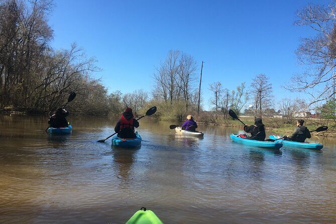 Kayak Tour Of The Honey Island Swamp and Backwaters - The Scenic and Wildlife Aspects