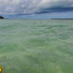 Kayak Trip, 1 Wet Hike + 2 dry hikes in Everglades National Park - FAQ