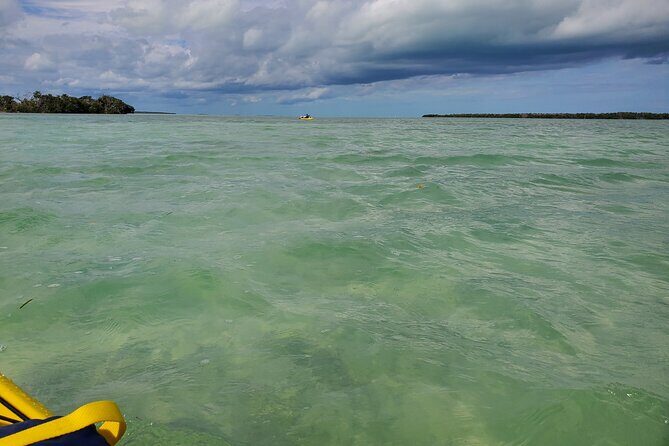 Kayak Trip, 1 Wet Hike + 2 dry hikes in Everglades National Park - FAQ