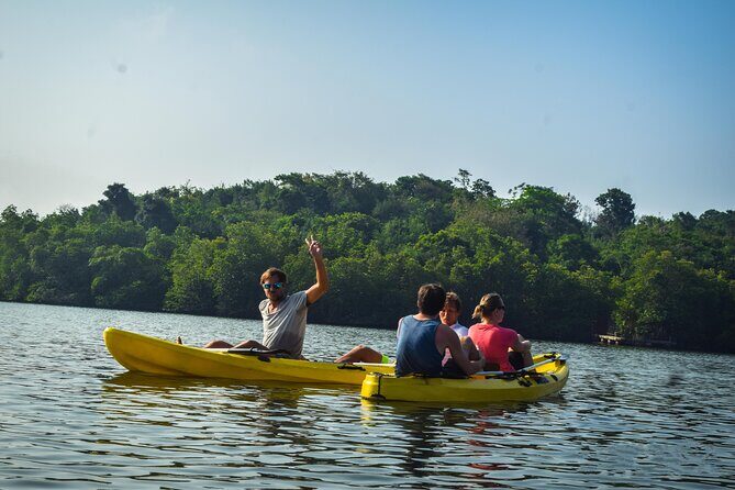 Kayaking from Ahungalla - The Scenic Highlights