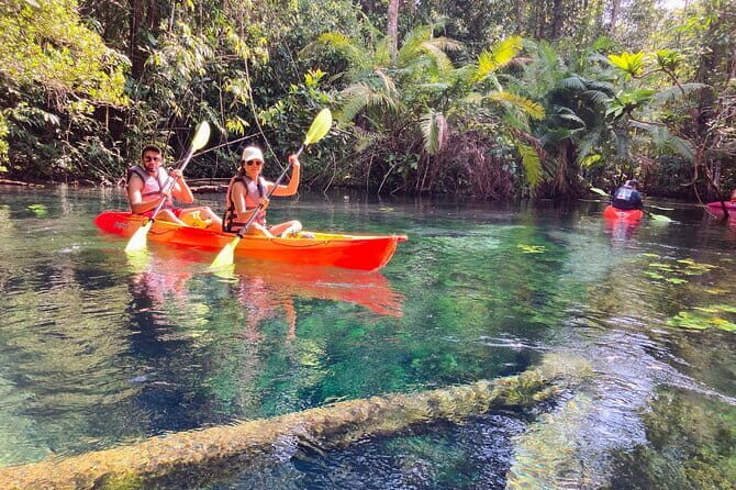 Kayaking Klongroot-Klongnamsai - Who Will Love This Tour?