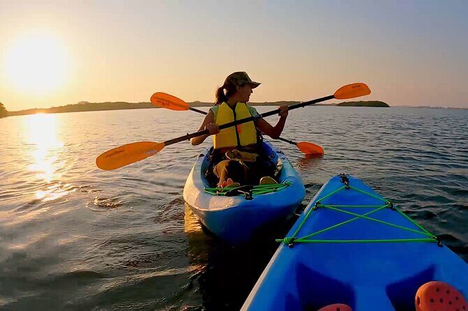 Kayaking the Canals of Venice, FL - Who Will Love This Tour?