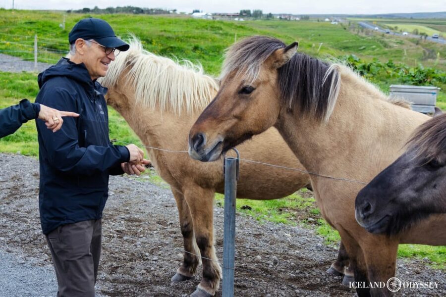 Keflavik: Golden Circle Private Tour with Airport Pickup - What Makes the Golden Circle Special?