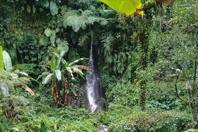 Keliki Village Tour And Rice Field Walk Including Lunch Or Dinner - The Sum Up: Is This Tour Worth It?