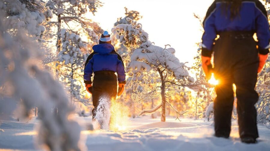 Kemi-Tornio: Nature tour with snowshoes - The Value of the Tour — Is It Worth It?