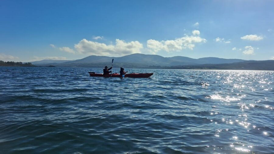 Kenmare Bay: Guided Kayaking Tour - No Wetsuits Required. - More Than Just a Kayaking Trip