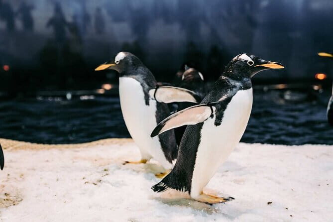 Kenting Aquarium Admission Ticket in Taiwan - What to Expect Inside the Aquarium