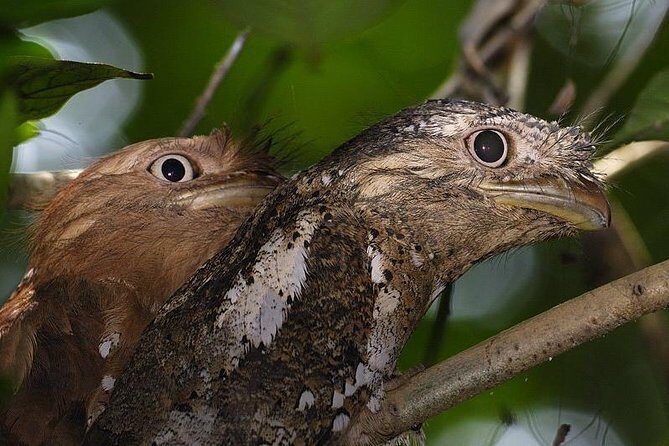 Kerala Bird Watching Tour - Analyzing Value and Cost