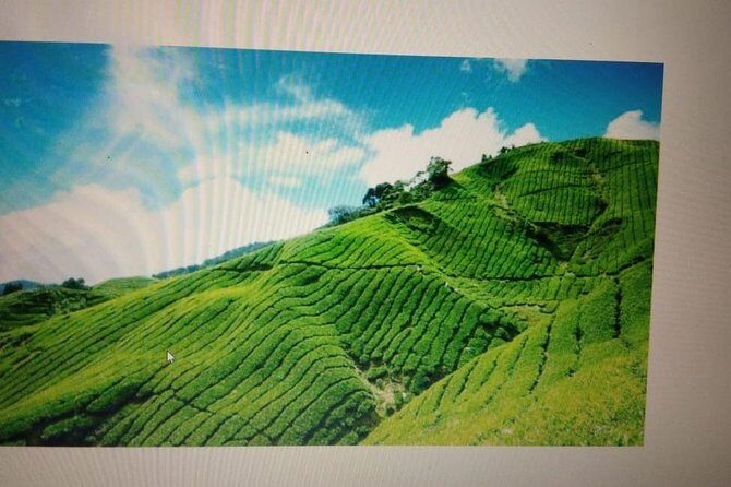 Kerala Honeymoon Package - Introduction