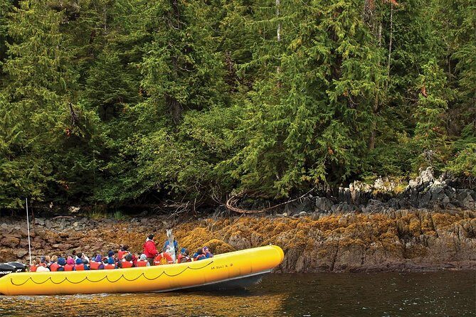Ketchikan Rainforest Island and Boat Adventure - Analyzing the Value