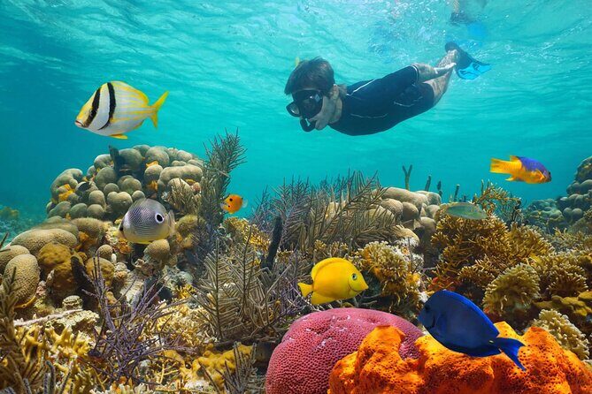 Key West: 3hr Snorkeling Experience with Unlimited Drinks - Analyzing the Value and Experience
