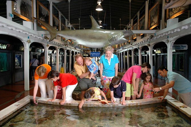 Key West Aquarium Admission - The Sum Up