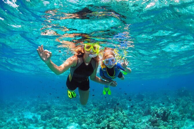 Key West: Dolphin Watching cruise & Snorkeling unlimited beer & soda - Analyzing the Value