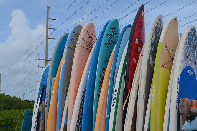 Key West Stand Up Paddleboard Rental - Why the Price Reflects Good Value