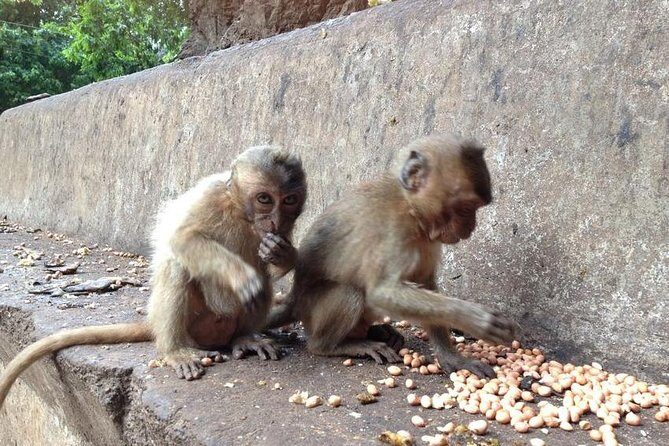 Khao Lak : Full-Day Temple Tour Including Dragon Cave - Starting the Day – Comfort and Convenience