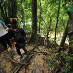 Khao Sok National Park Hiking and Bamboo Raft Tour From Khao Lak - Who Should Consider This Tour?
