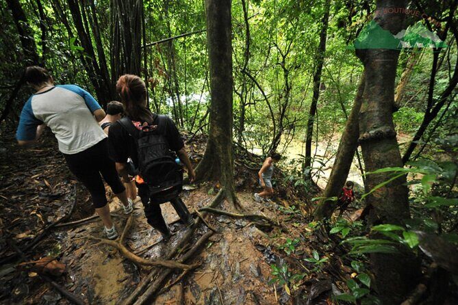 Khao Sok National Park Hiking and Bamboo Raft Tour From Khao Lak - Who Should Consider This Tour?