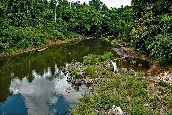 Khao Yai Bat Caves & Night Safari Adventure 3D/2N - Practical Tips for Travelers
