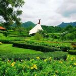 Khao Yai Winery - Vineyard Tours & Animal Lover with Horse Farm - Who Will Love This Tour?