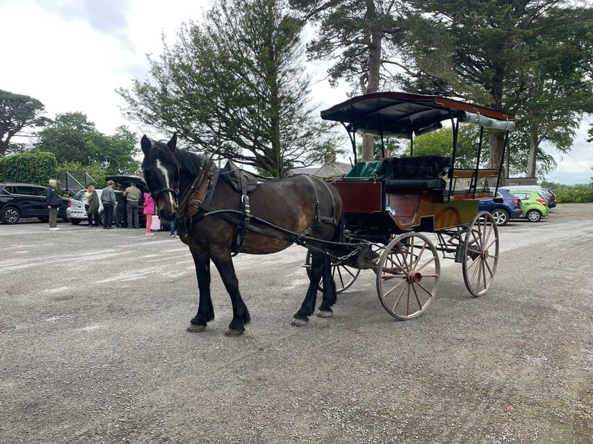 Killarney Carriage Tours National Park and Lakes - Final Thoughts