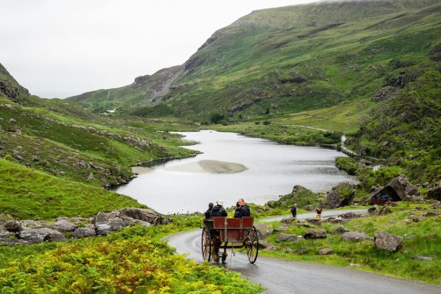 Killarney Highlights Walk  Castle Lake Carriage Ride - A Detailed Look at the Tour Experience