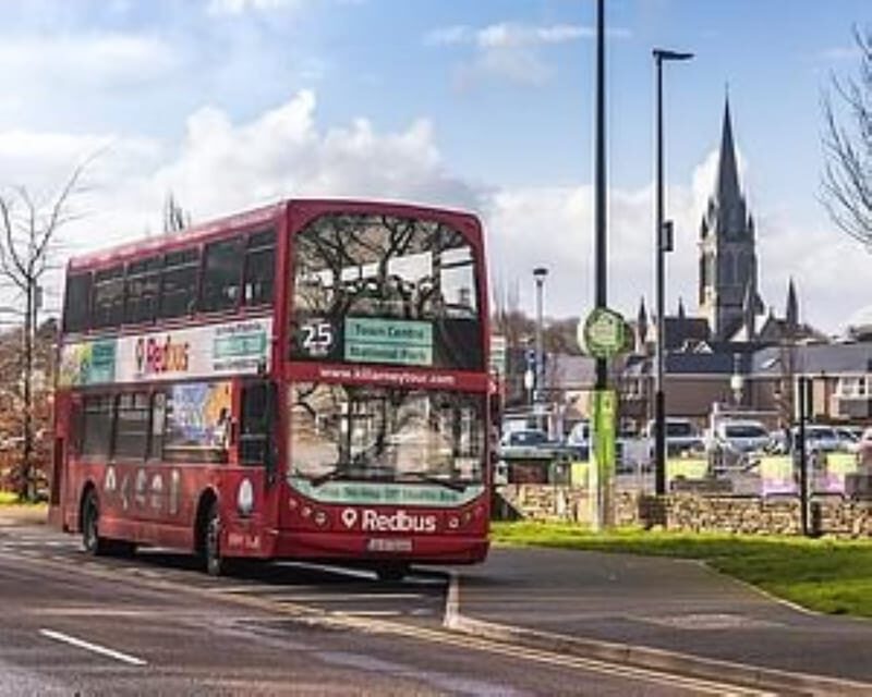 Killarney: Hop-On Hop-Off Bus to Killarney National Park - Why This Tour Is a Great Choice