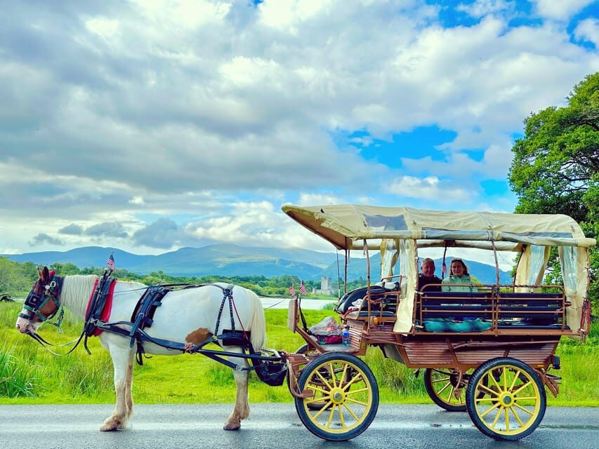 Killarney Jaunting Car Tour - Breaking Down the Highlights