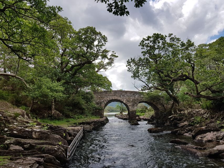 Killarney: Lakes of Killarney Boat Tour with Transfer - What to Expect During Your Day
