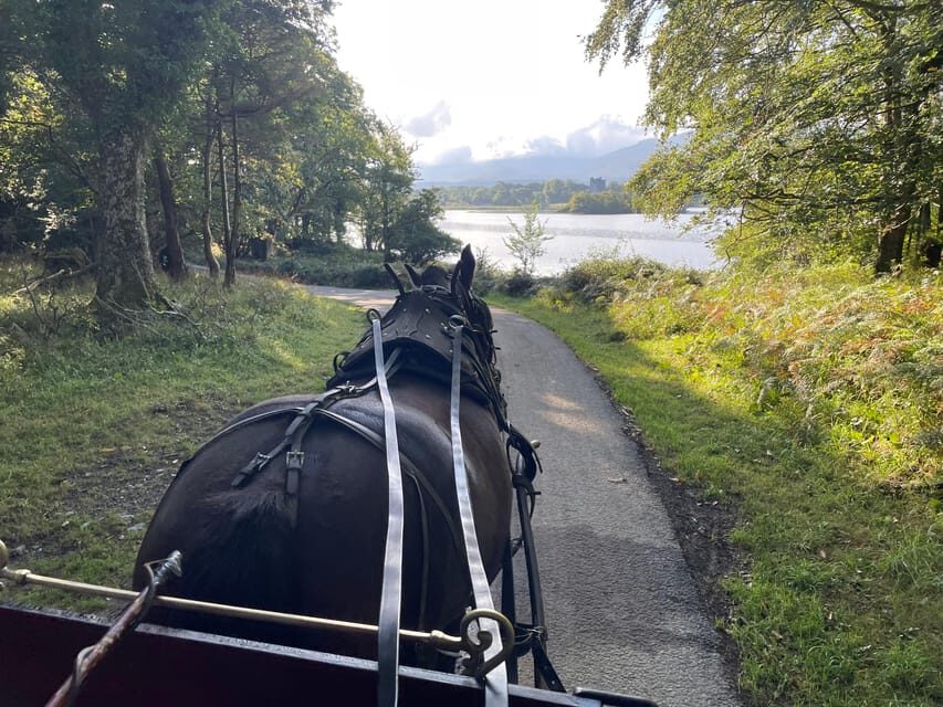 Killarney National Park Jaunting Car Tour - Comparing Similar Experiences