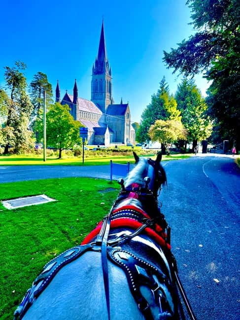Killarney National Park Tour - The Experience in Detail