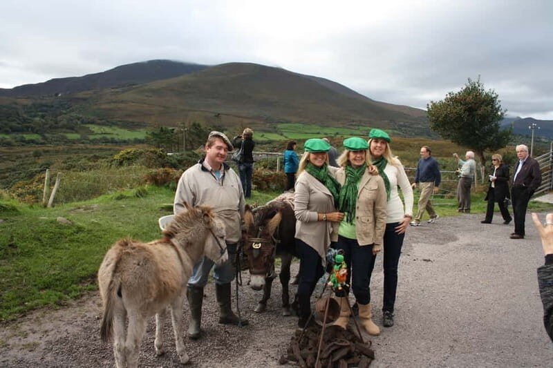 Killarney: Ring of Kerry Bus Tour - A Detailed Look at the Tour Experience
