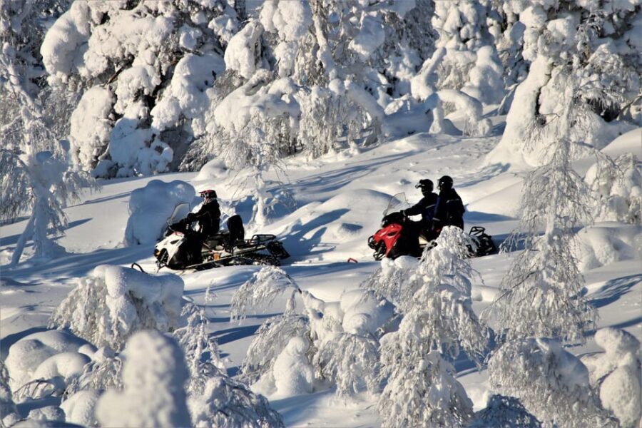 King of Ylläs: Snowmobiling to the Hill - The Experience Provider and Practical Details