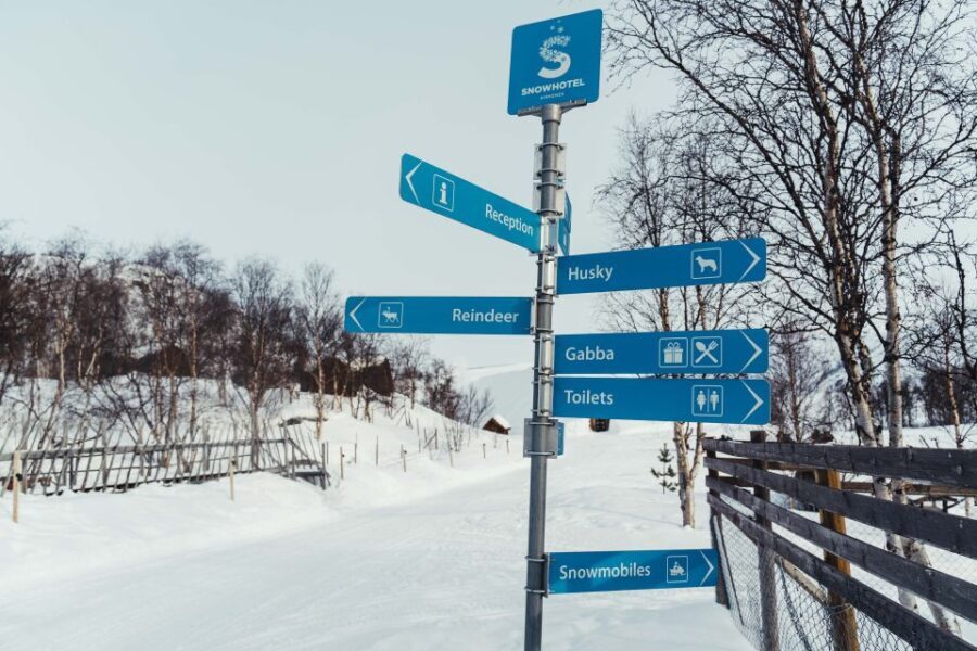 Kirkenes: Snowhotel Entrance Ticket - Encountering Arctic Wildlife