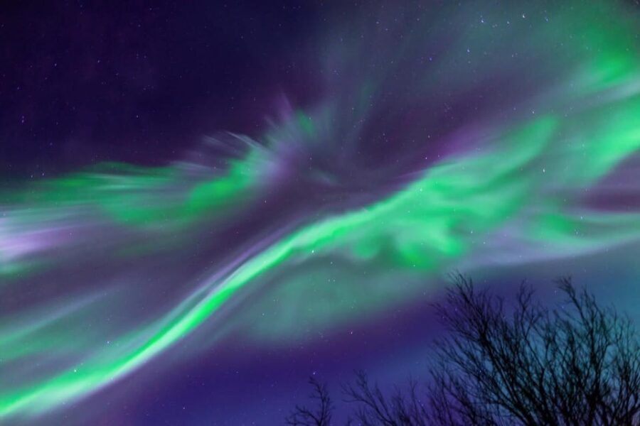 Kiruna: Northern Lights Minivan Chase with Warm Drink - Why Consider This Tour?