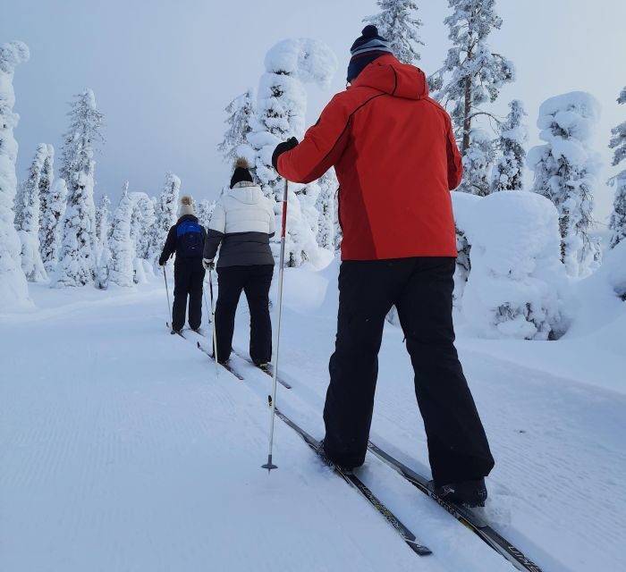 Kittilä: Lapland Levi Cross-country Skiing for Beginners - What You Can Expect During the Tour