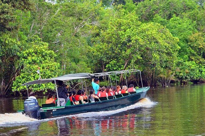 Klias River Fireflies & Wildlife Safari Cruise from Kota Kinabalu - What Travelers Say