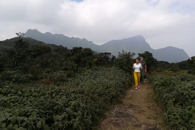 Knuckles Mountain Range Hiking and Trekking Day Tour From Kandy Hotels - Authenticity and Practical Tips
