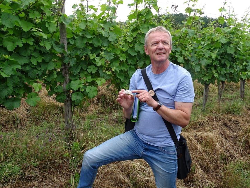 Koblenz: The Living Vineyard, Nature & Wine Enjoyment - What Makes This Tour Stand Out