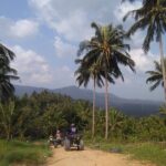 Koh Samui Island ATV Quad Bike Adventure - Practical Tips for Participants