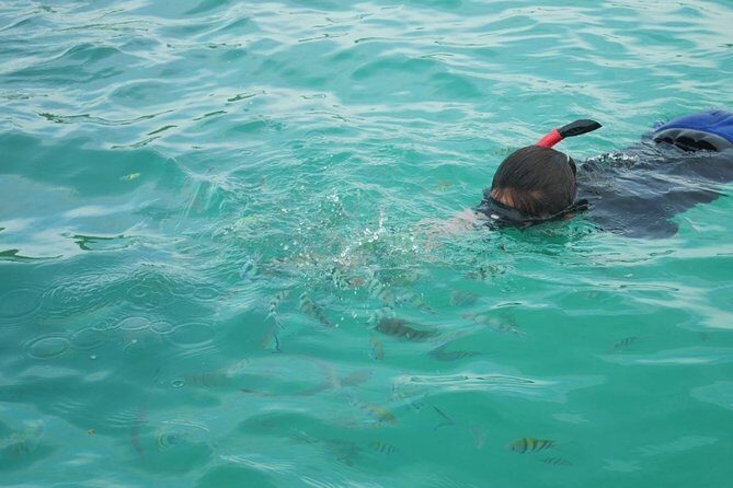 Koh Tan and Koh Madsum Snorkeling Trip By Speedboat From Koh Samui - Who Will Love This Tour?