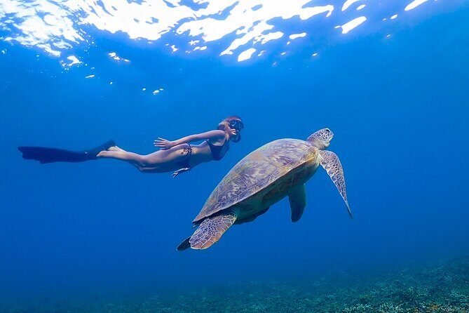 Koh Tao Viewpoint and Snorkeling Tour - Who Is This Tour Best Suited For?