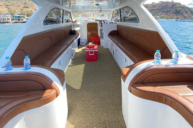 Komodo & Snorkeling Adventure by Private Speedboat - The Logistics and What You’re Getting