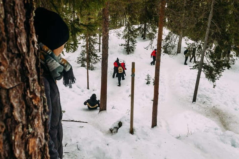 Korouoma Canyon: Frozen Waterfalls Hike & BBQ Experience - The Scenic Highlights: Frozen Waterfalls and Forest Trails