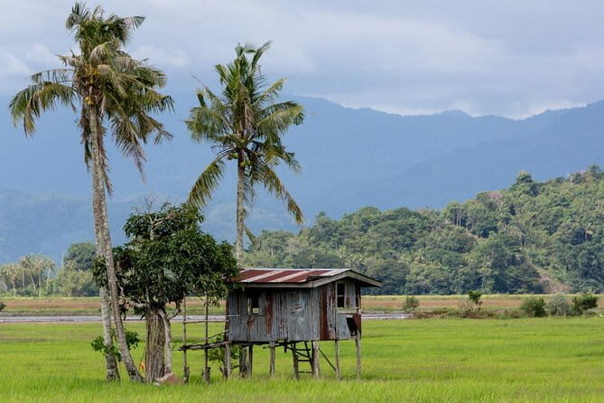 Kota Belud Sunday Market Tour from Kota Kinabalu - What Makes This Tour Stand Out?