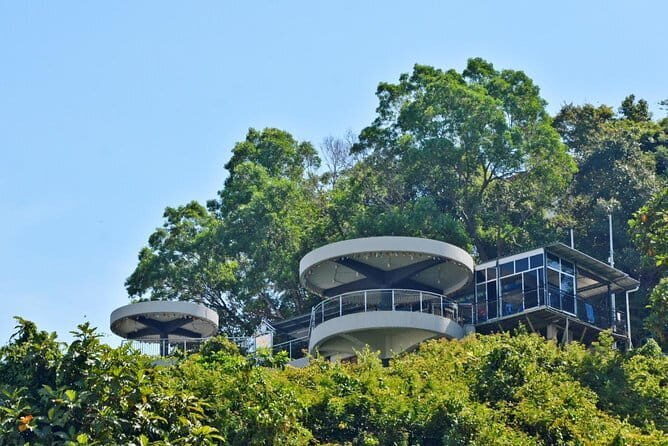 Kota Kinabalu Half Day City Tour - What Real Reviewers Say